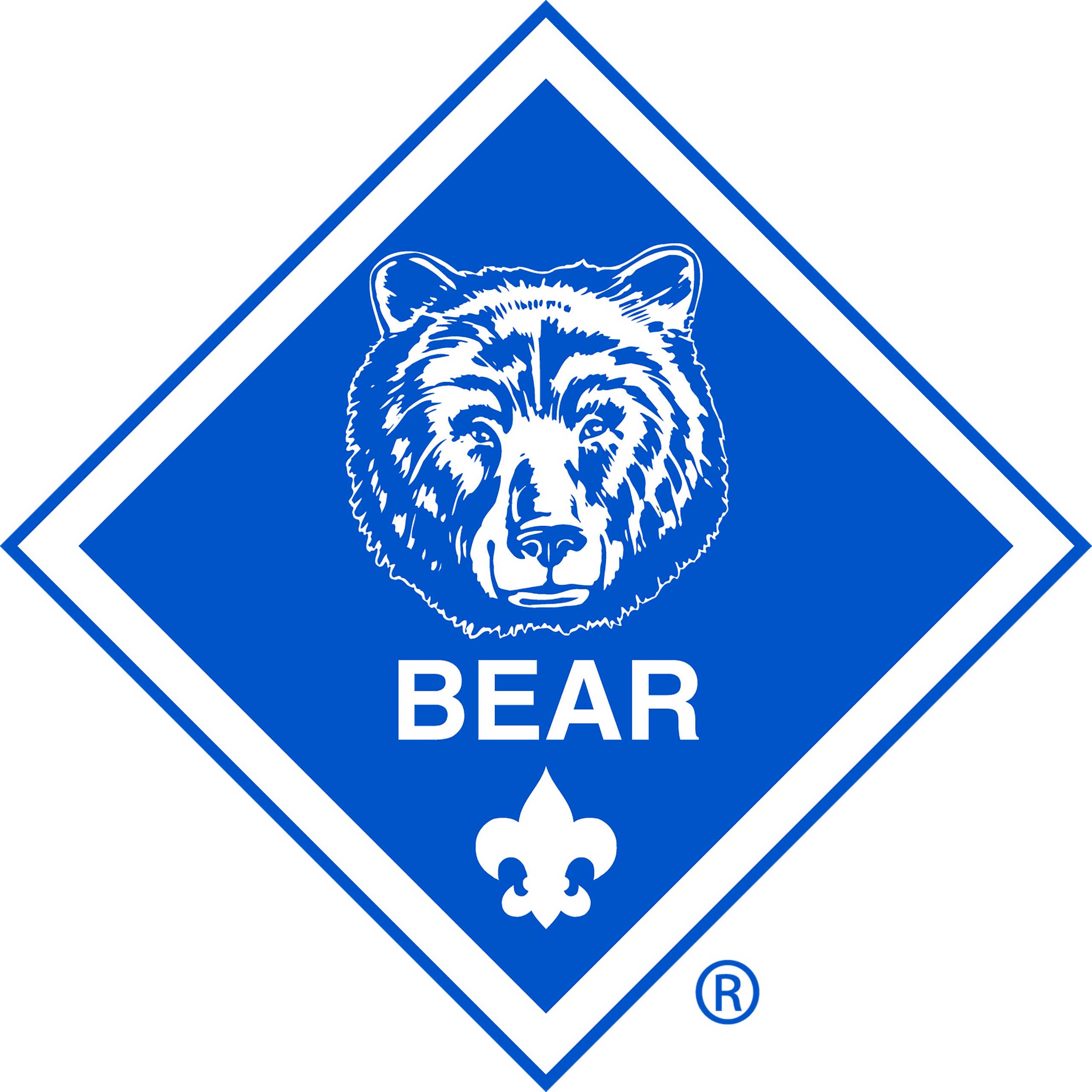 About the Cub Scout Program – Pack 175